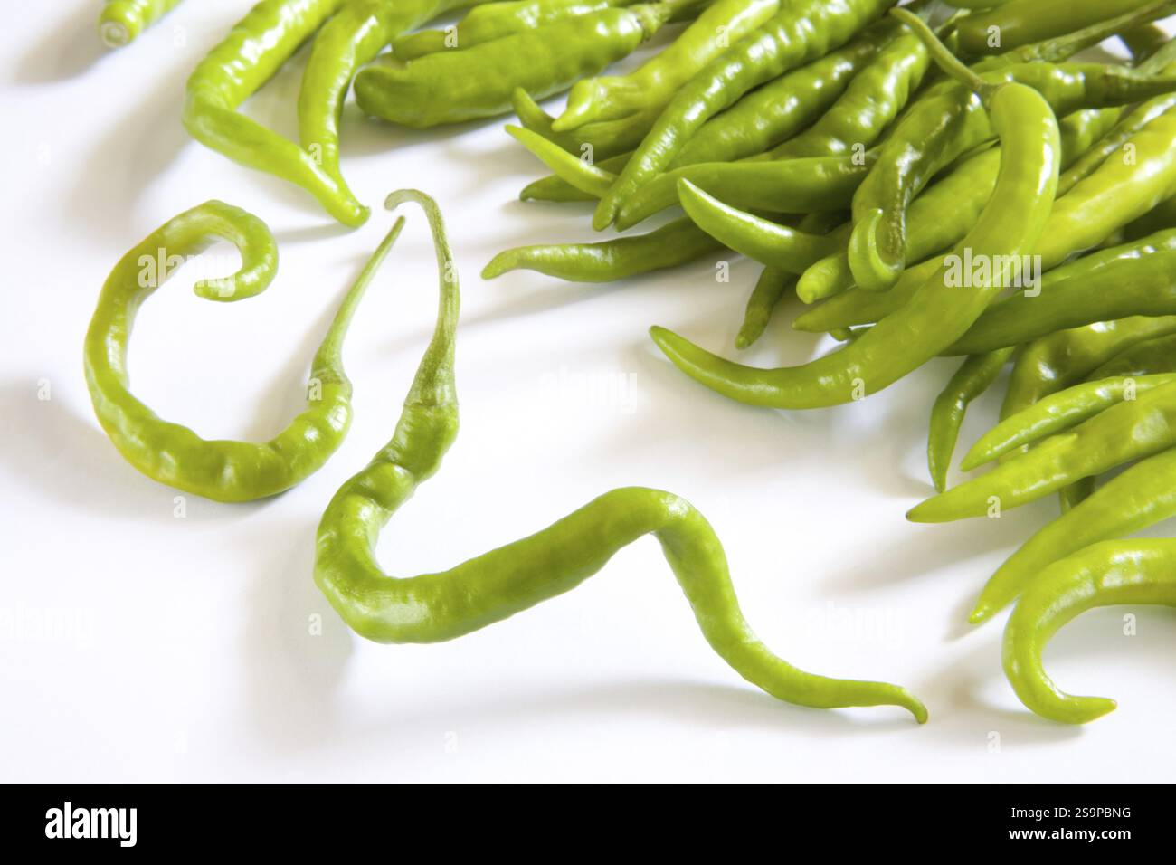 Concept, Indian spice green chillies hari mirch on white background ...