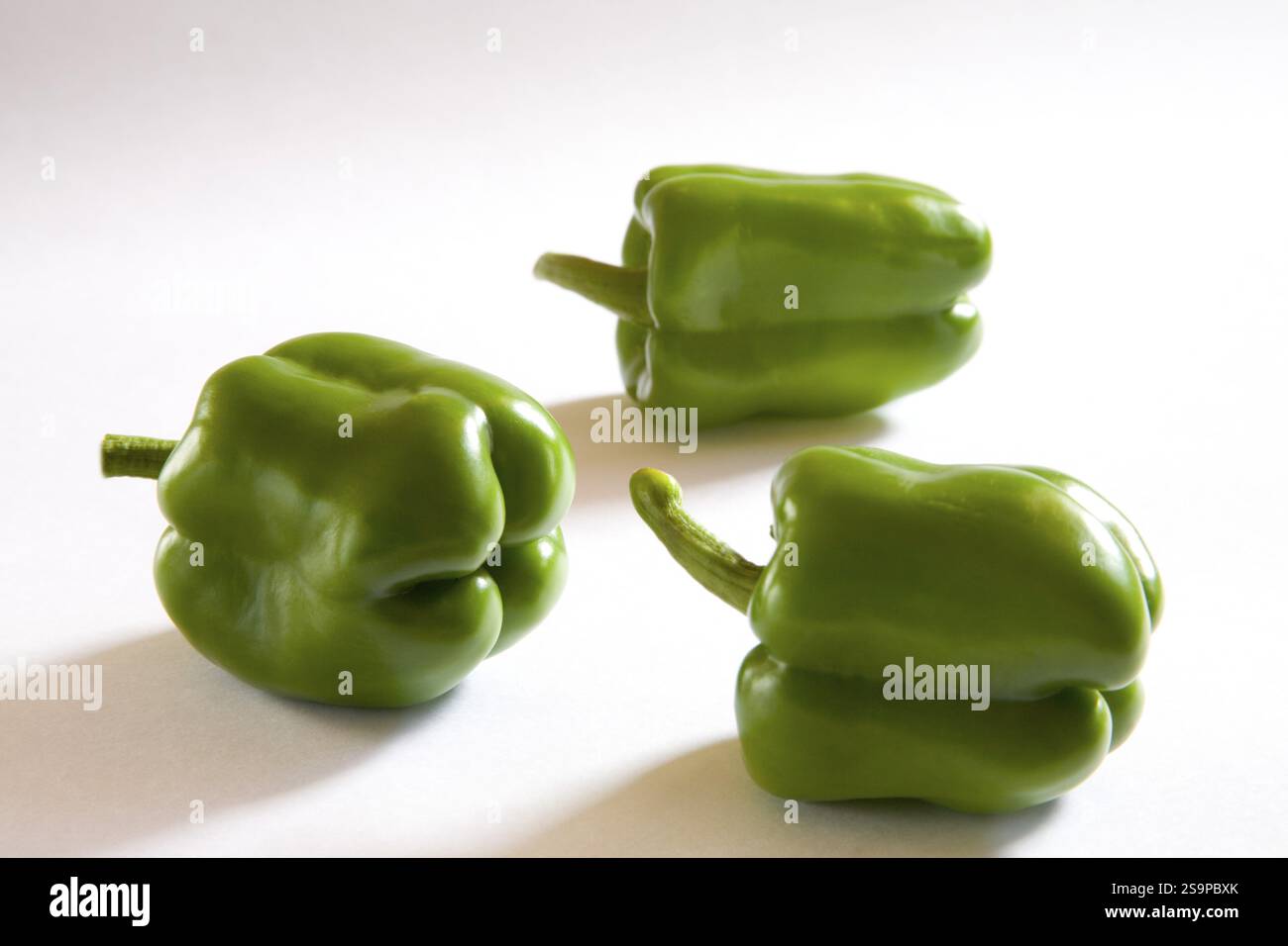 Concept Indian spice chilli green capsicum shimla mirch on white ...