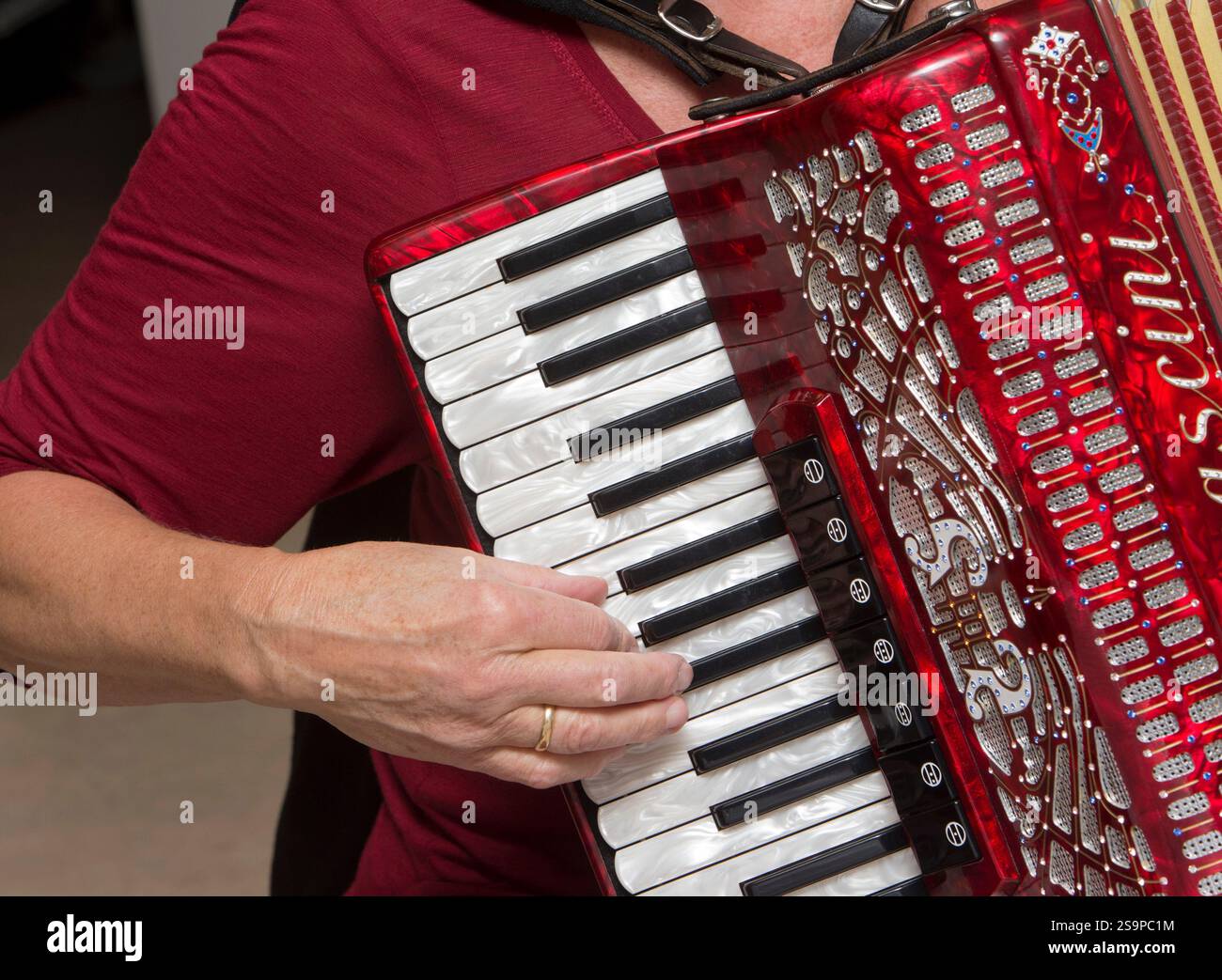Playing music on an acordion. Patients in geriatric care home. Elder ...