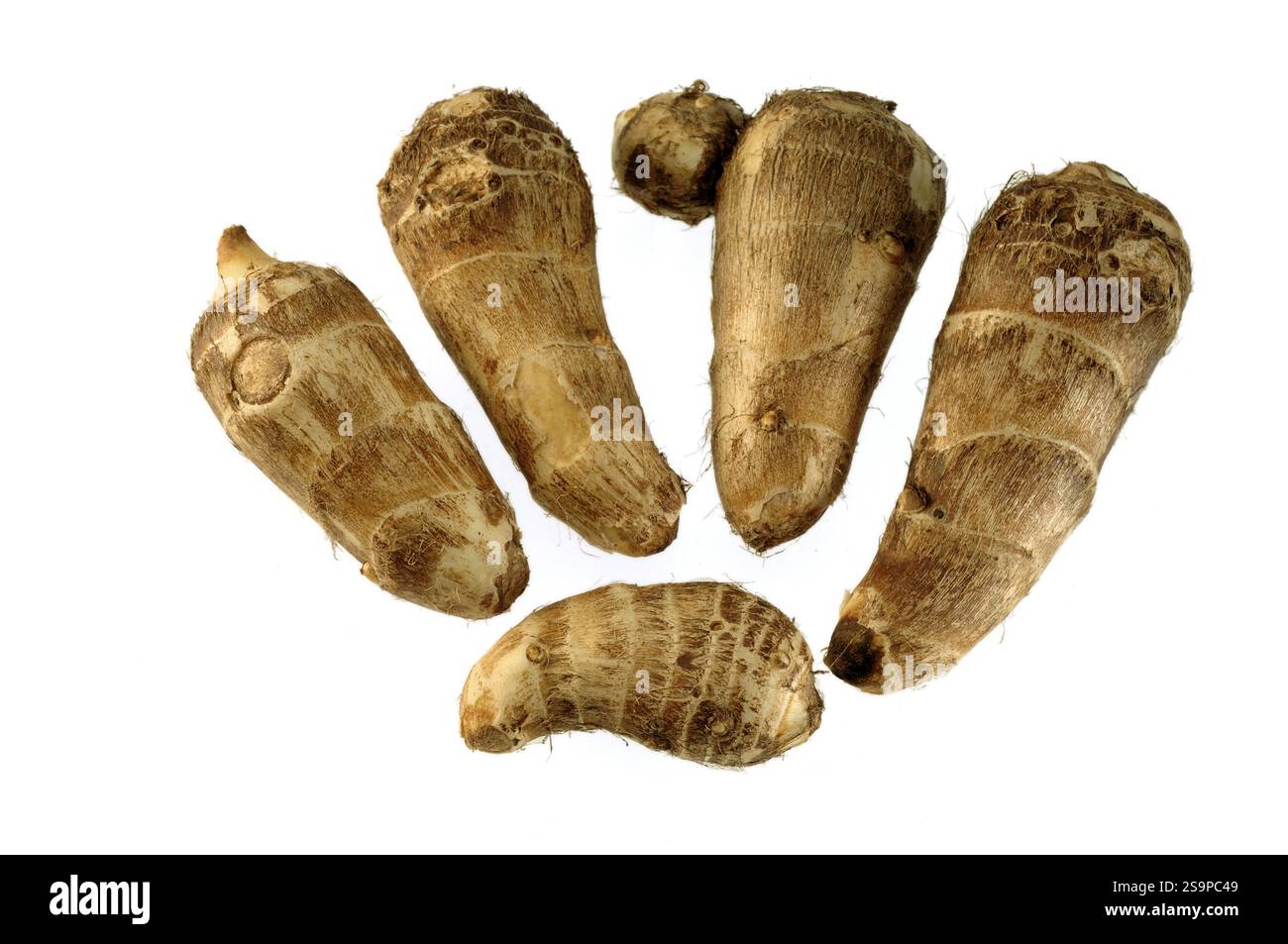 Vegetables, five pieces of yam on a white background Stock Photo - Alamy