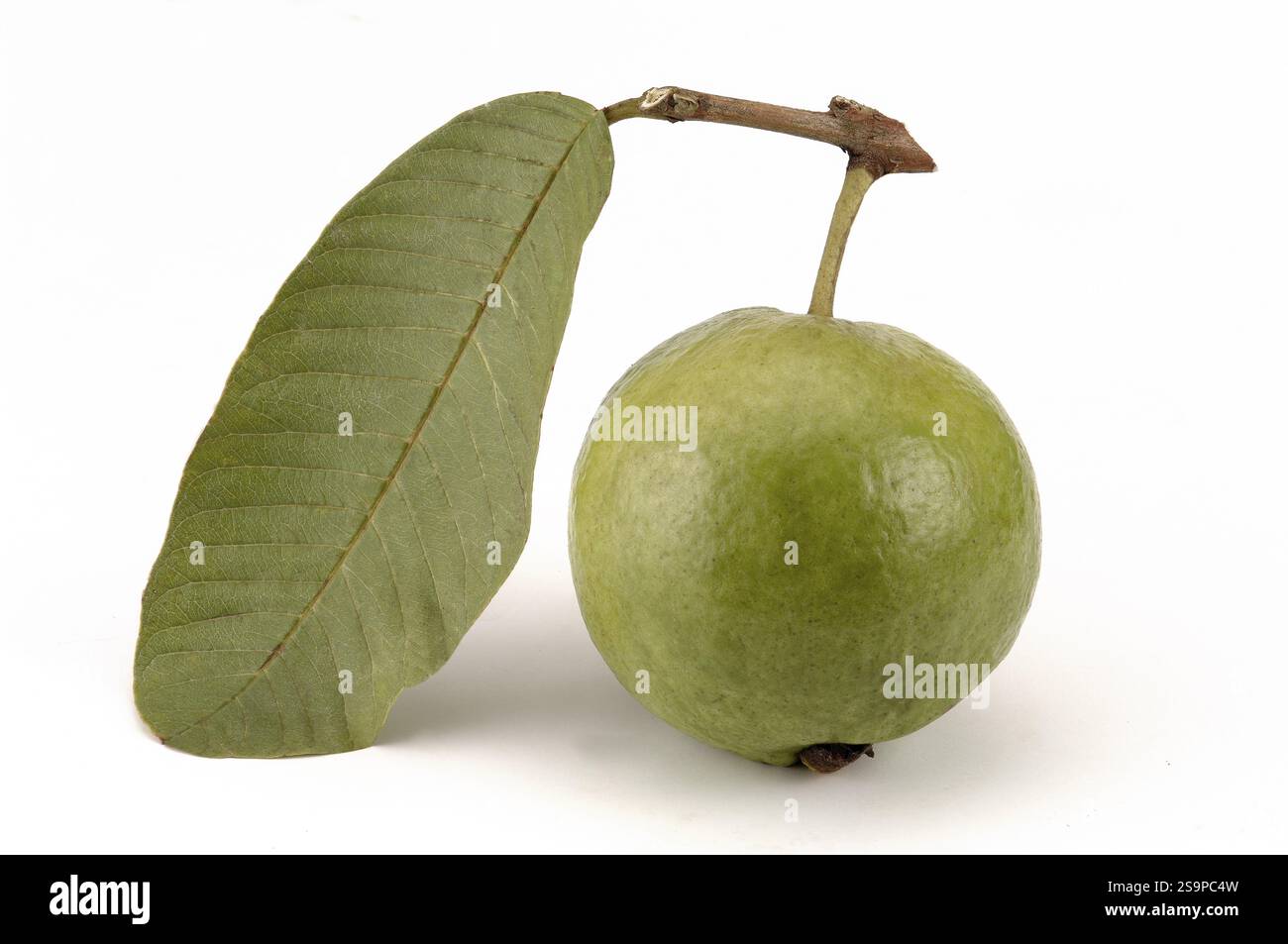 Unripe green fruits on Cut Out Stock Images & Pictures - Alamy
