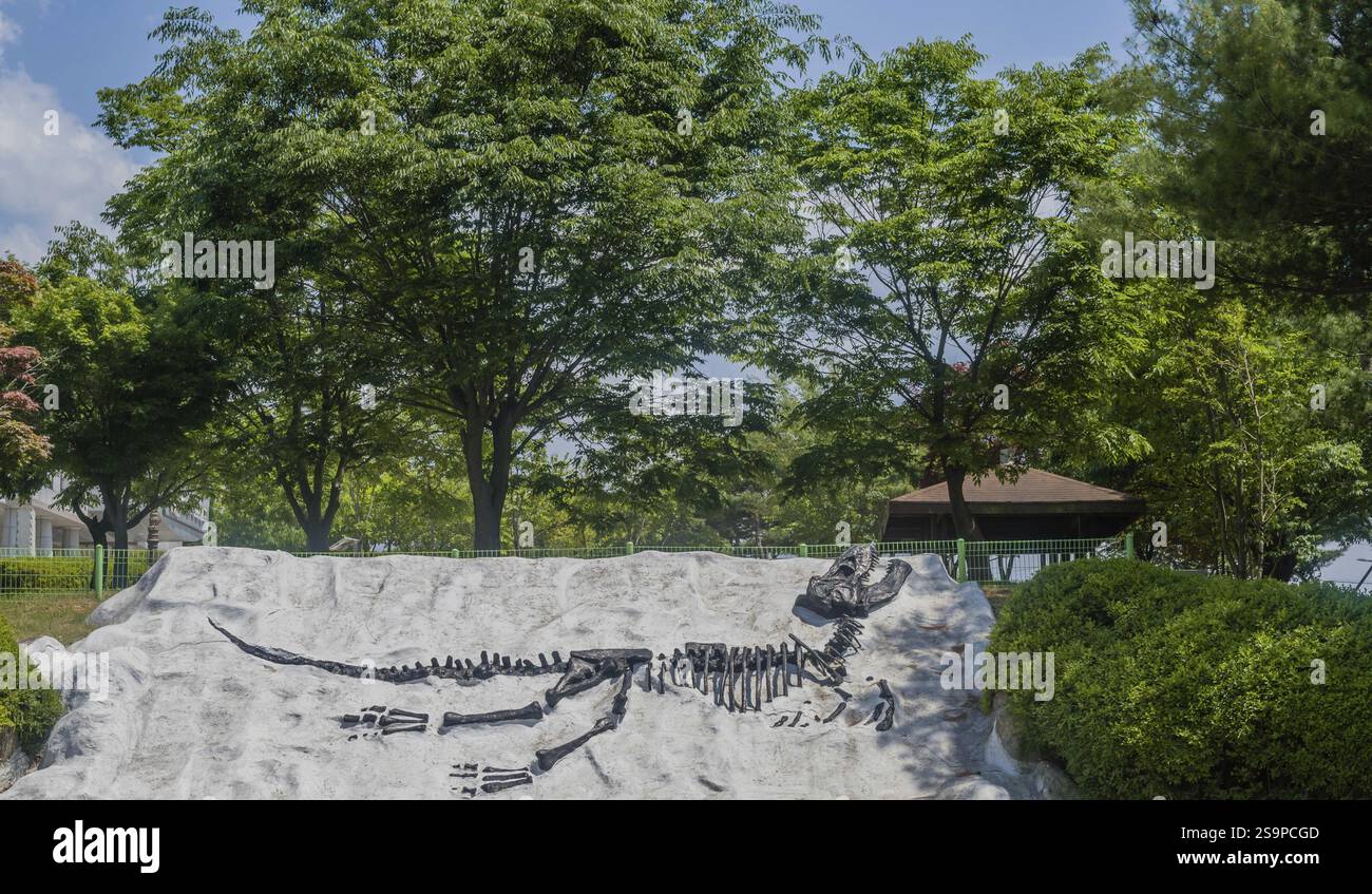 Iksan, South Korea, May 25, 2023: Replica of tyrannosaurus rex skeleton ...