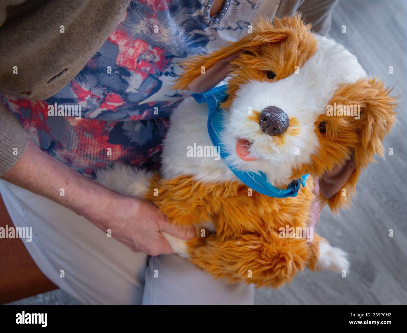 Older woman with dementia hugging a fluffy animal. Patients in ...