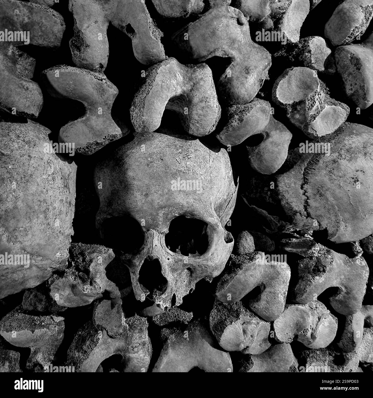 The Catacombs - Les Catacombes, skullheads, Paris, France Stock Photo ...