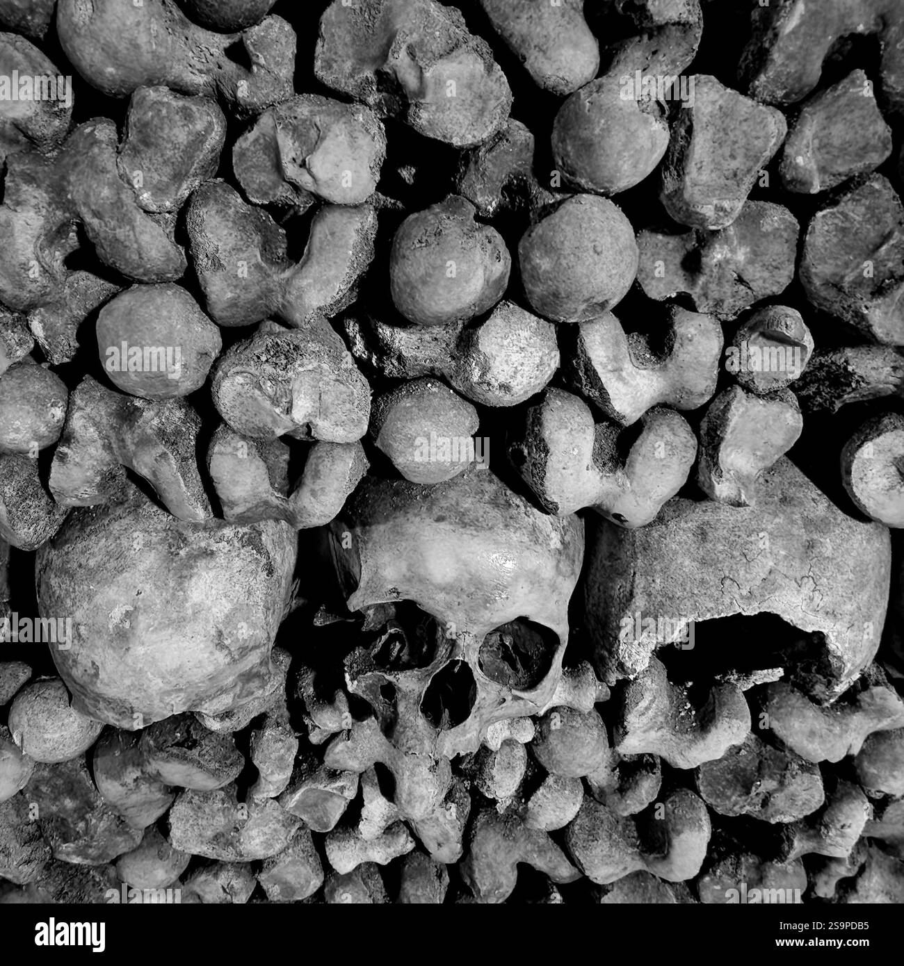 The Catacombs - Les Catacombes, skullheads, Paris, France Stock Photo ...