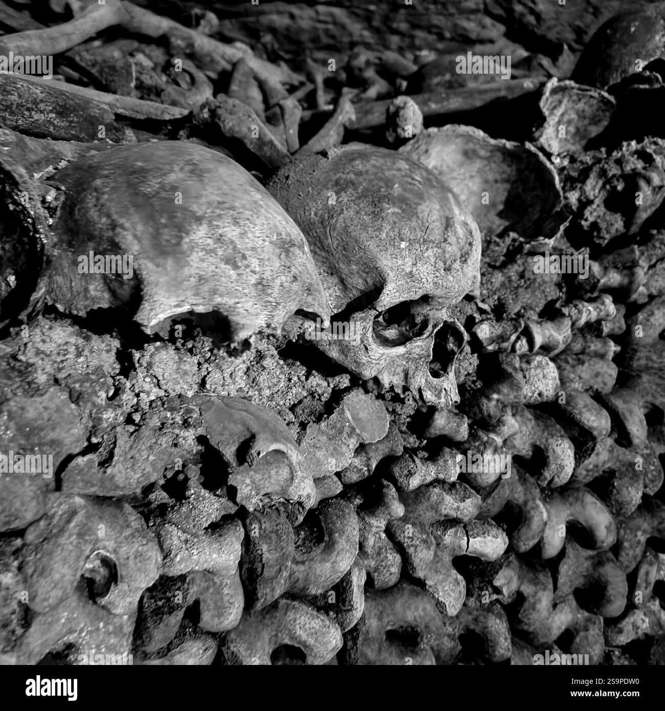 The Catacombs - Les Catacombes, skullheads, Paris, France Stock Photo ...