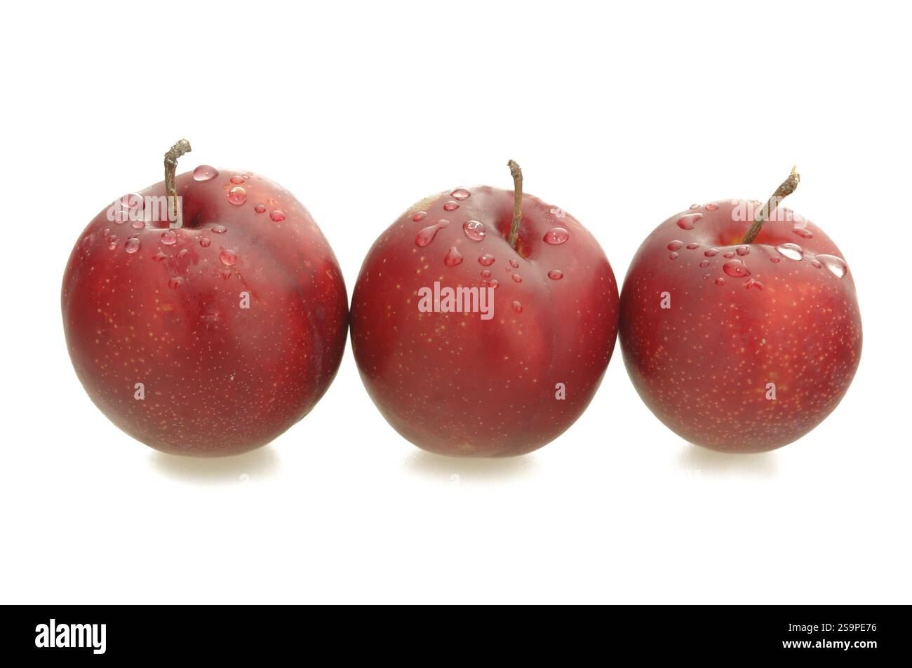 Fruit, three plum feathers on a white background Stock Photo - Alamy