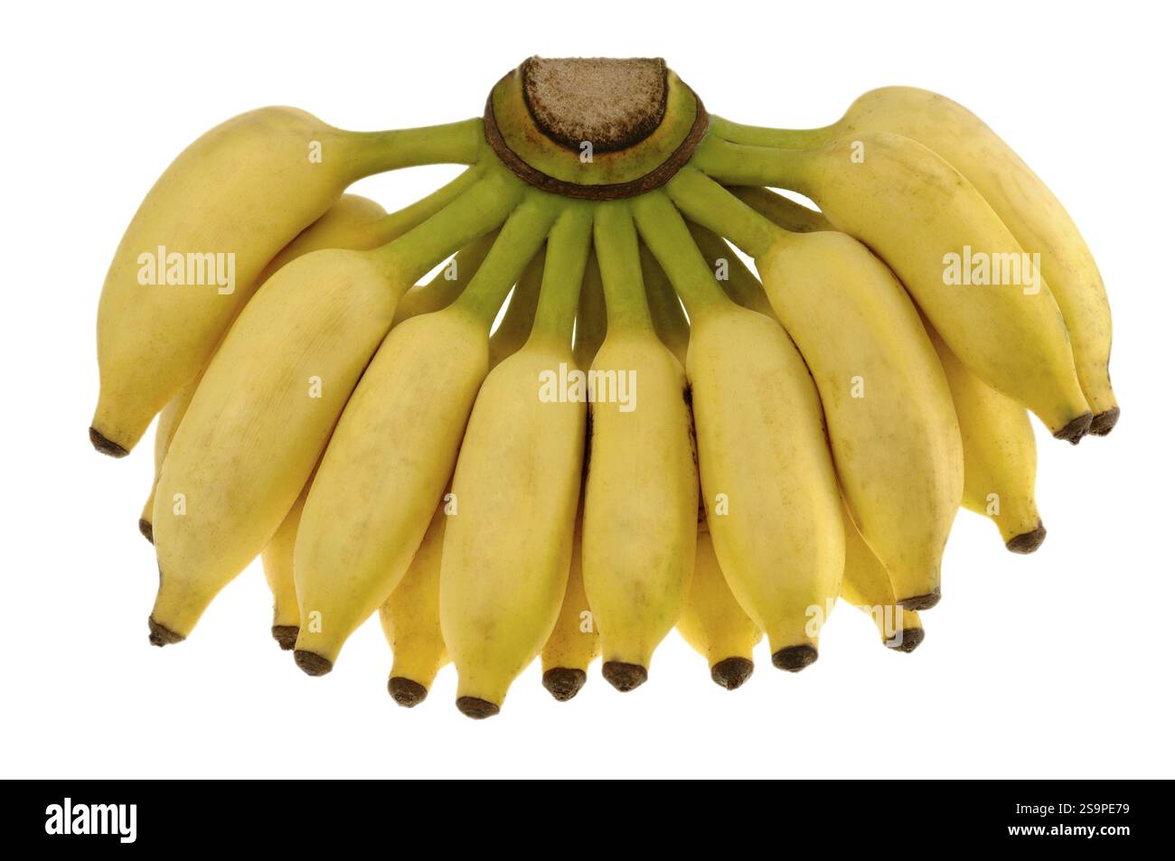 Fruits, A bunch of bananas a dozen on a white background Stock Photo ...