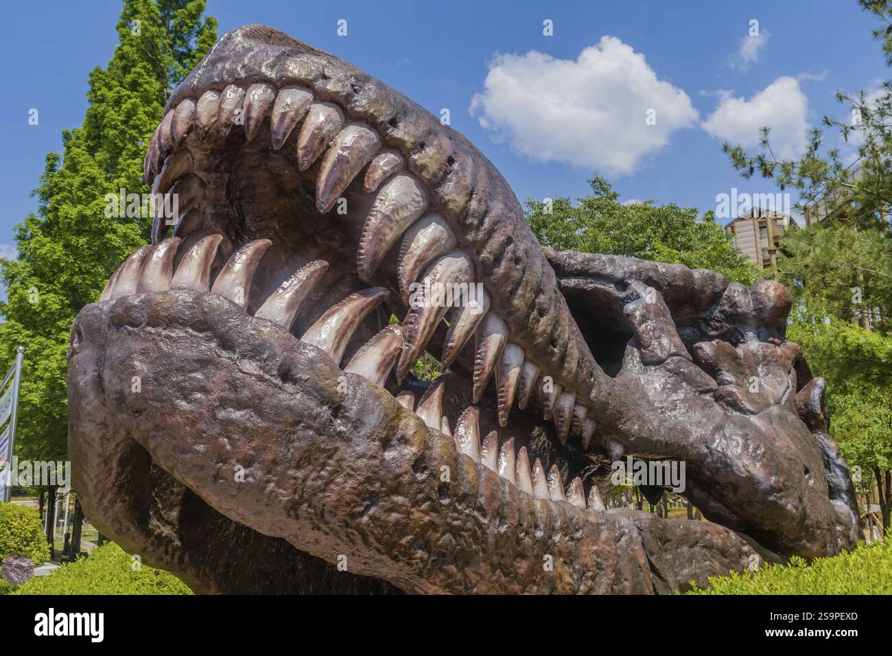 Iksan, South Korea, May 25, 2023: Replica of tyrannosaurus rex head as ...