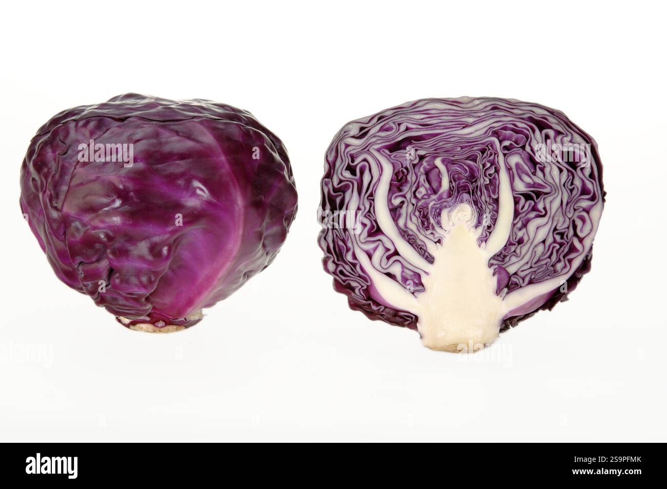 Vegetable, Red Cabbage brassica Oleracea on white background Stock ...