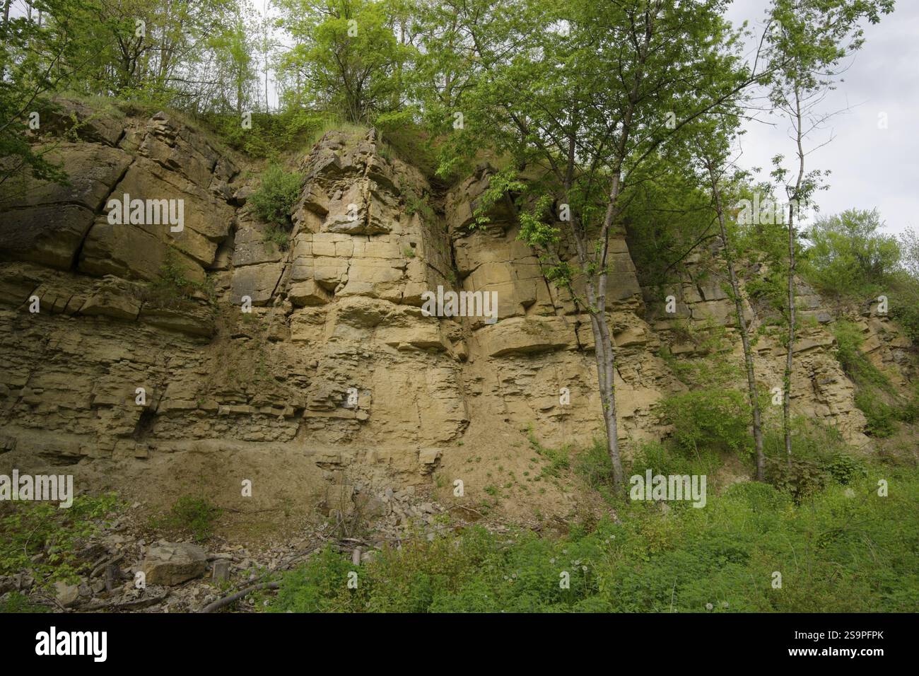 Disused quarry, shell limestone outcrop, shell limestone quarry, shell ...