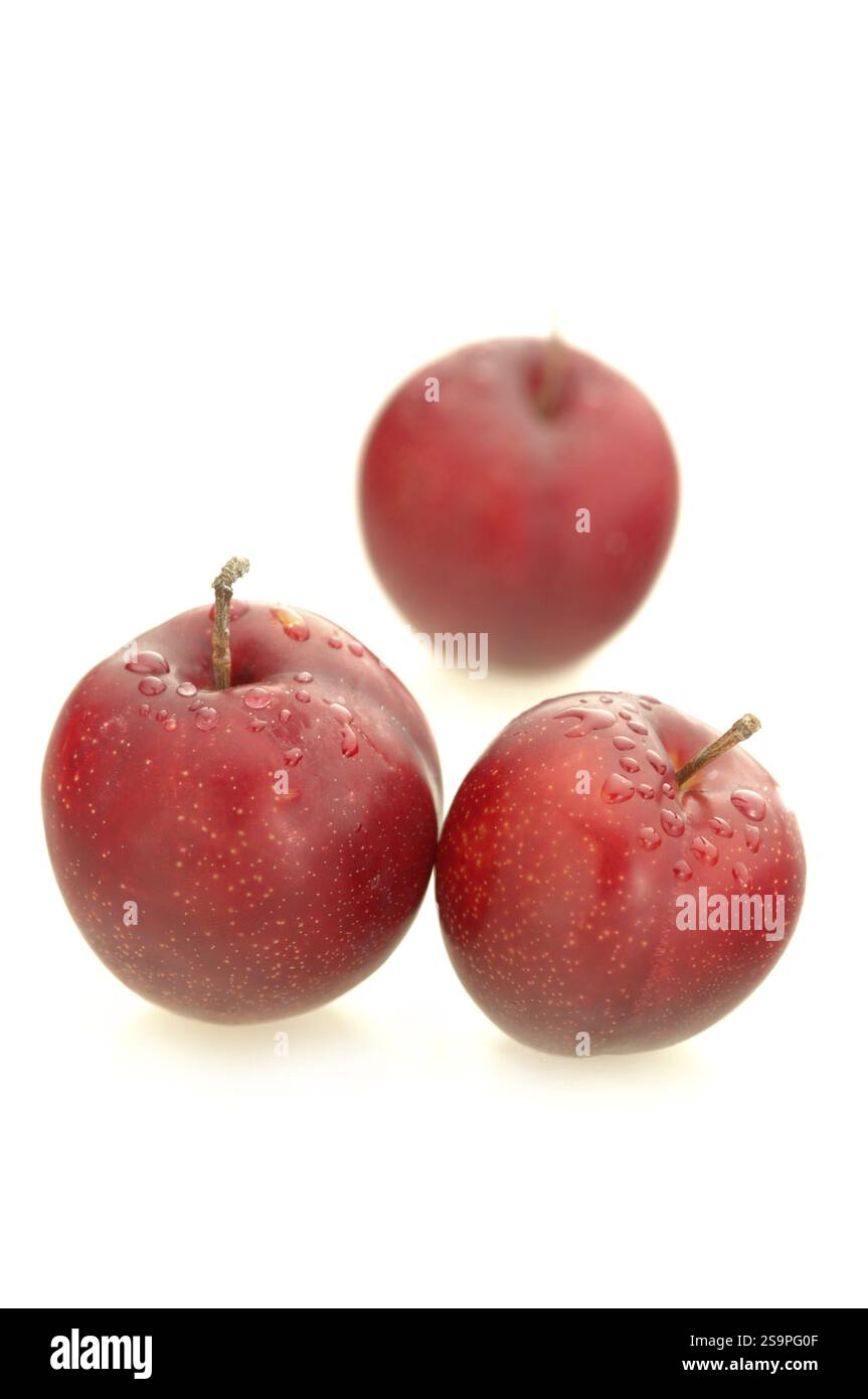 Fruit, three plum feathers on a white background Stock Photo - Alamy