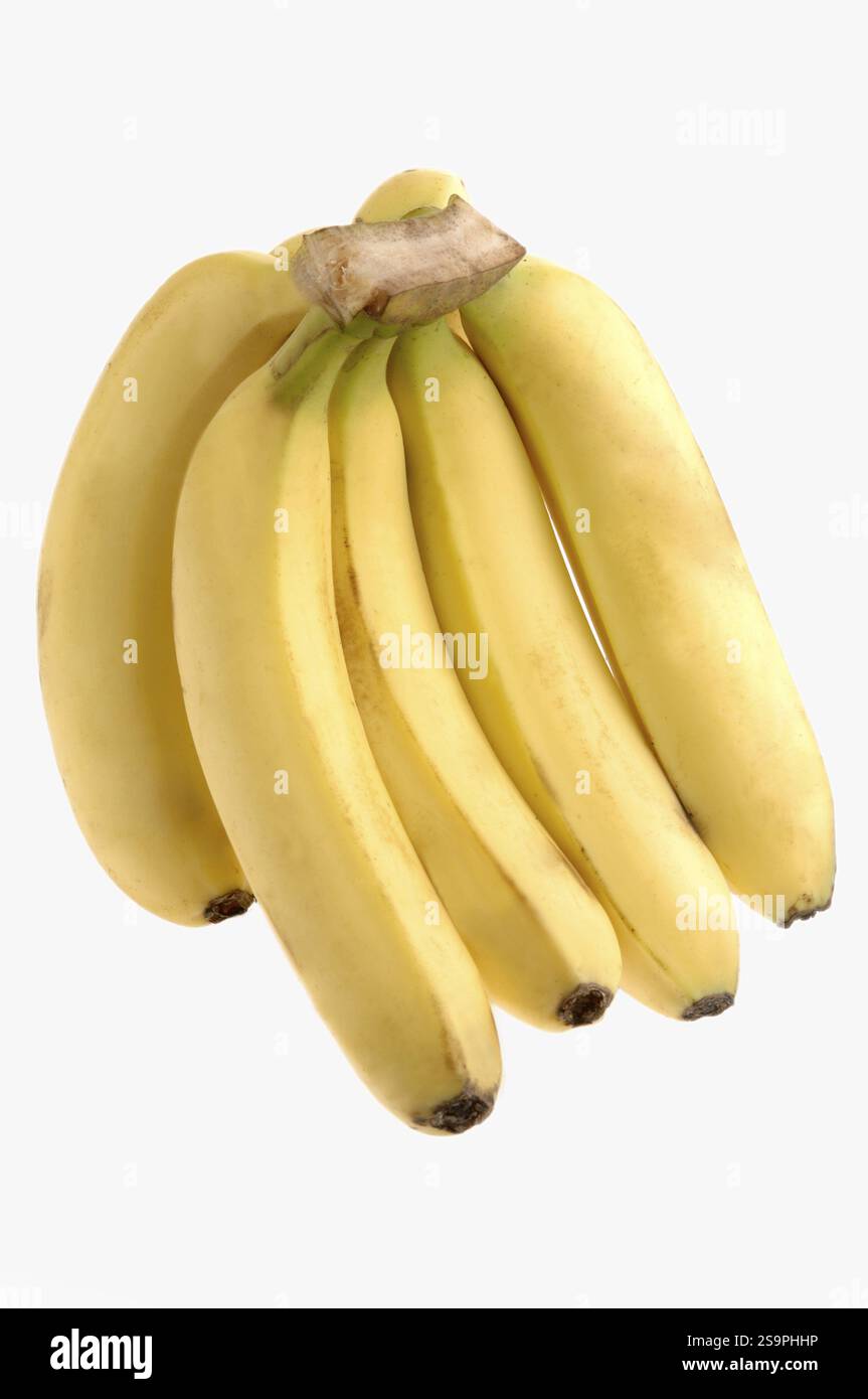 Fruits, A yellow bunch of bananas five pieces on a white background ...