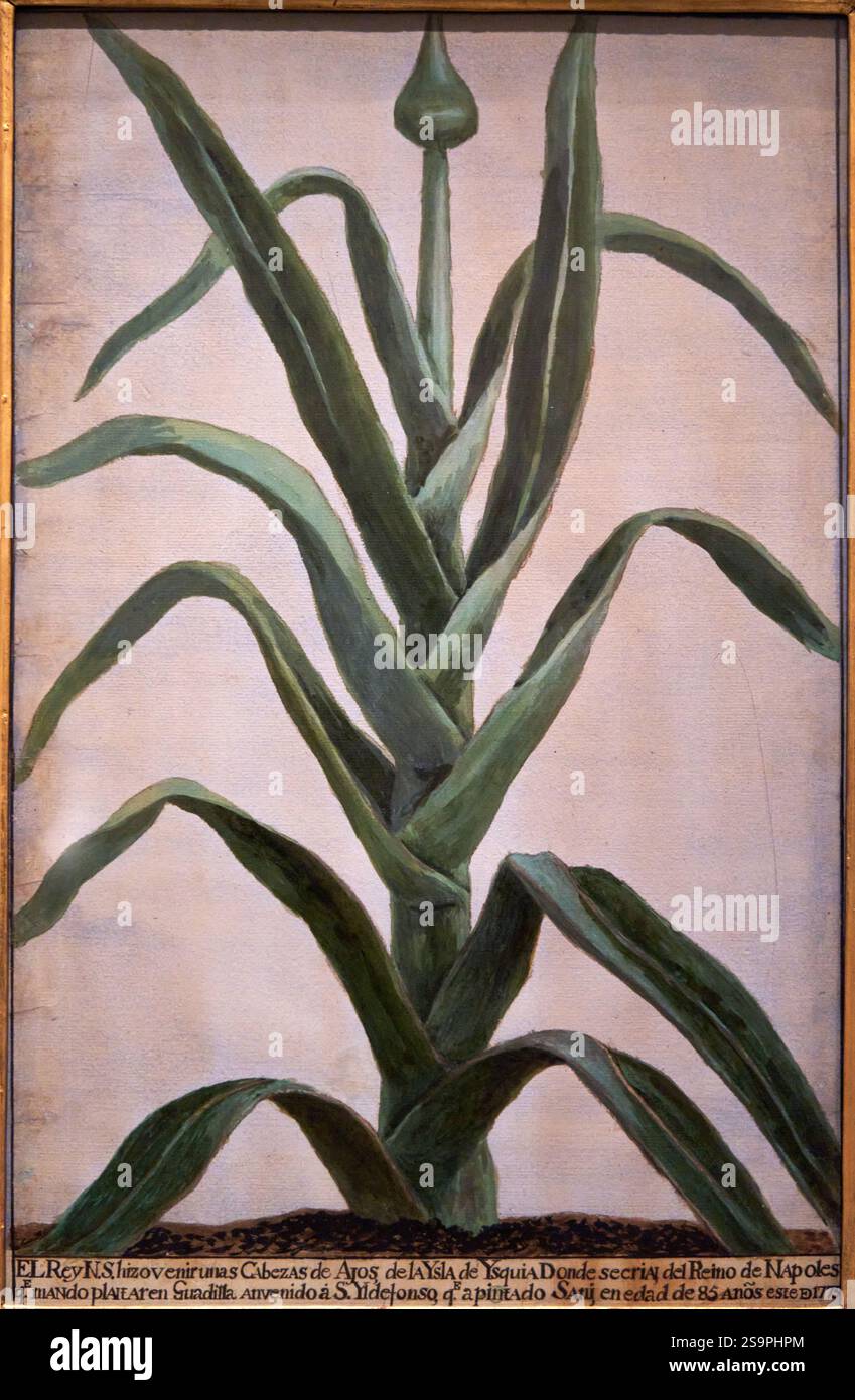 1690 1773 hi-res stock photography and images - Alamy