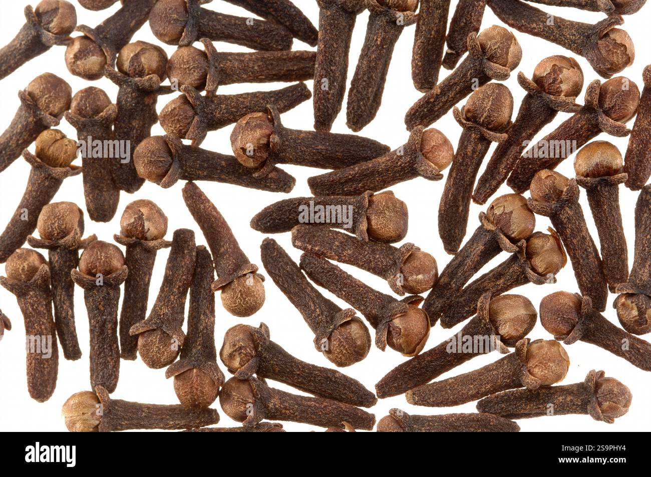 Spices, cloves Clavus on a white background Stock Photo - Alamy