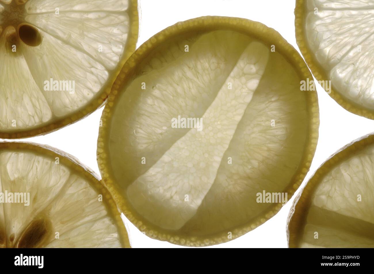 Fruits, Five lemon slices on a white background Stock Photo - Alamy