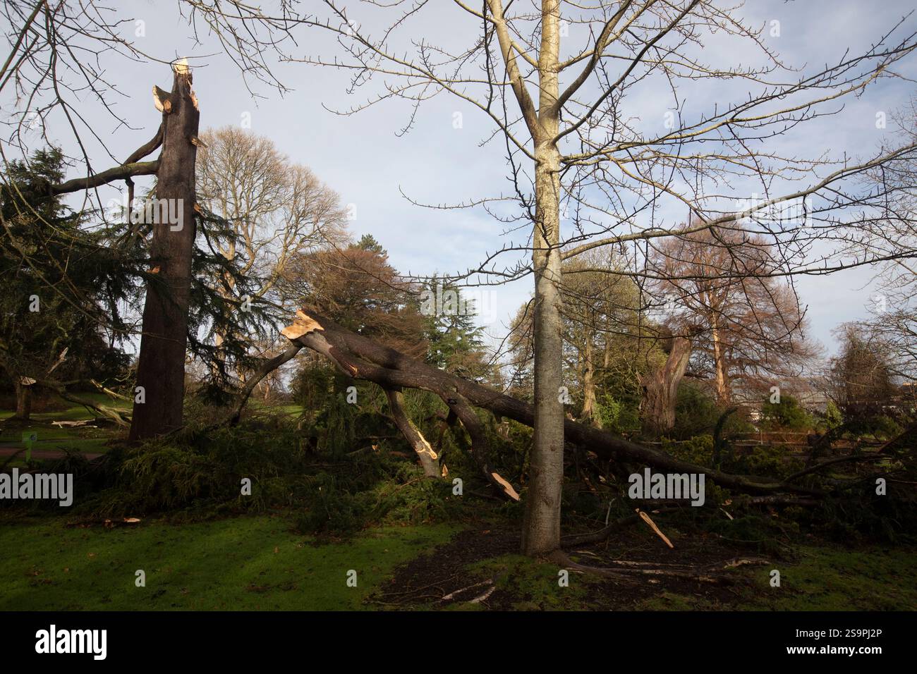Edinburgh. UK. 227th January 2025. Storm Eowyn cause a bit impact in ...