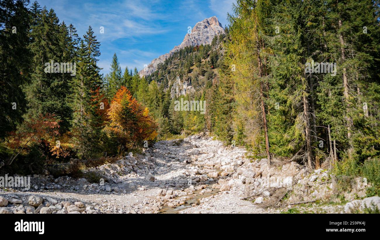 Stunning View of Dolomite Cliffs and Greenery Under a Blue Sky Stock ...