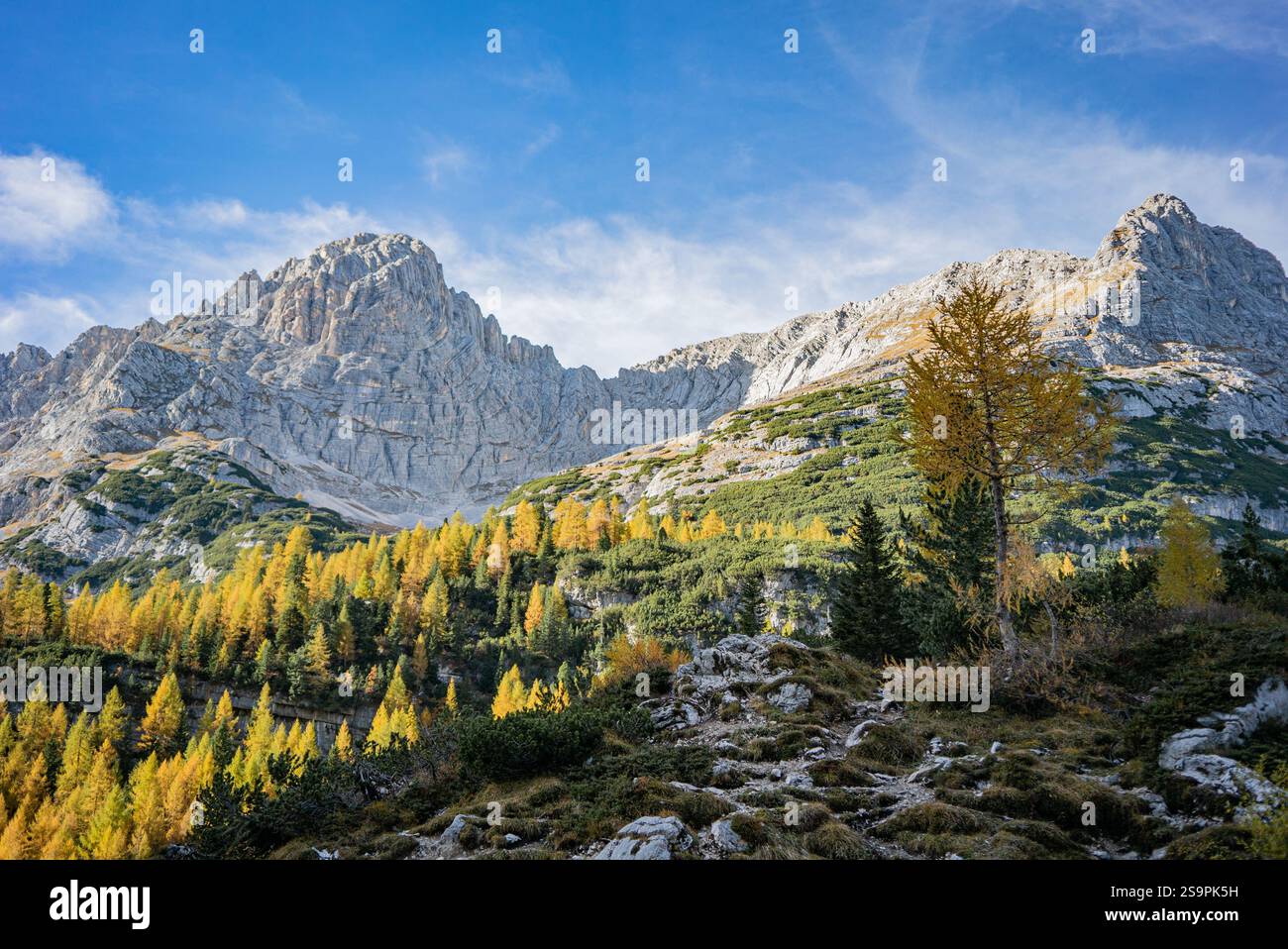 Autumn Colors in the Dolomites with Towering Limestone Peaks Stock ...