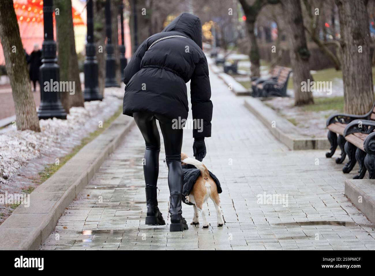 Pet girl hi-res stock photography and images - Alamy