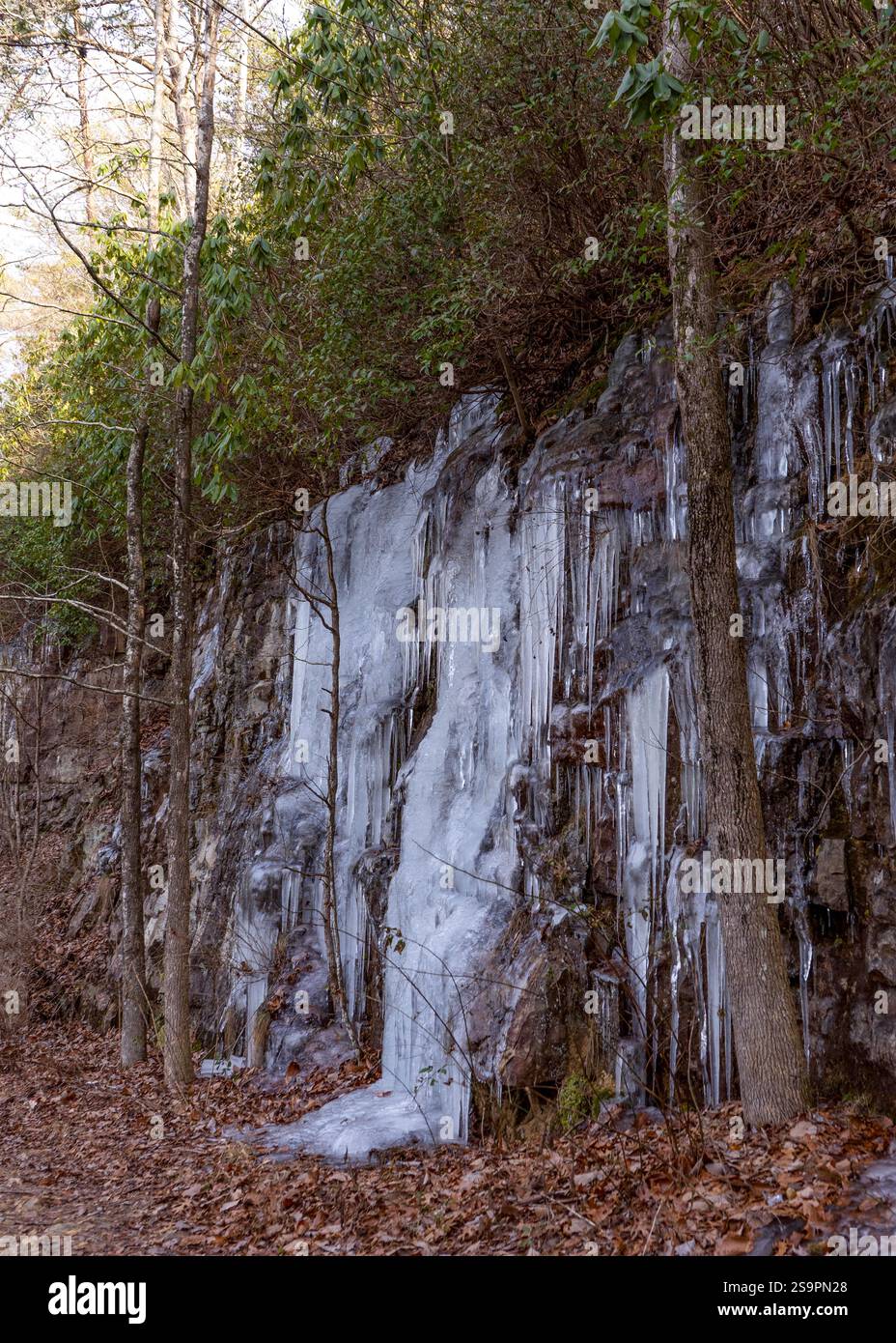 Lula Lake Land Trust, Lookout Mountain, Georgia. Long spikes of icicles ...