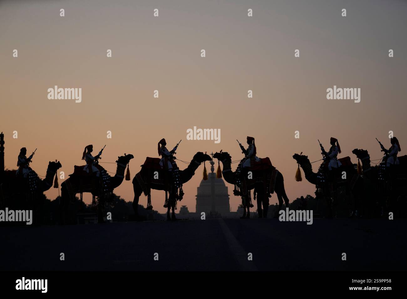 Camel mounted soldiers of India's Border Security Force stand in ...