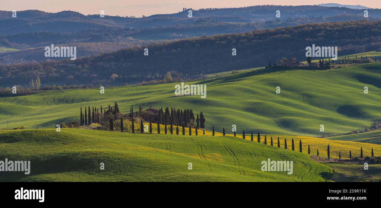 Italy,Tuscany-Val d'Orcia: rolling hills among vineyards and medieval ...