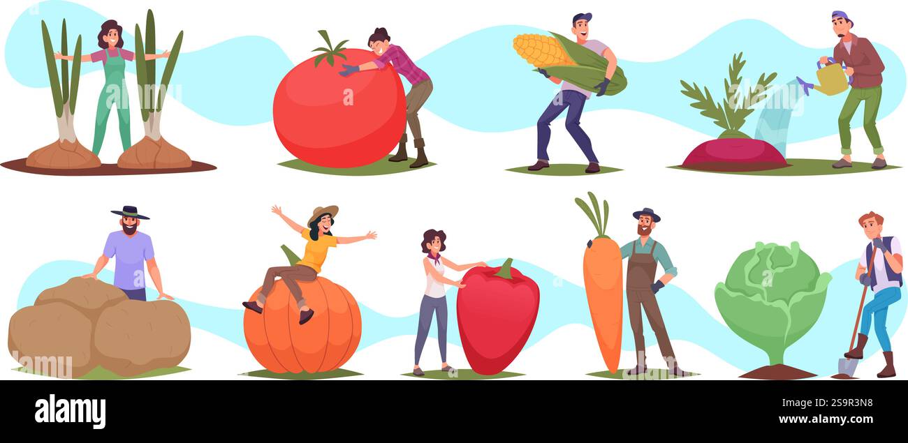 Fruit harvest. Male and female characters crop care exact vector ...