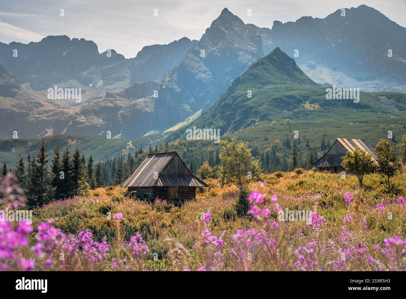Hala Gąsienicowa (Gąsienicowa Valley): Traditional Mountain Huts and ...