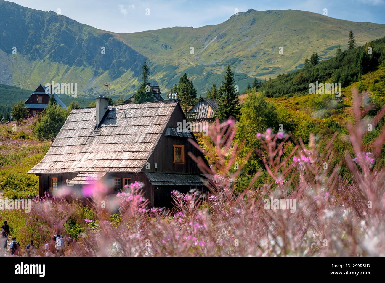 Traditional Polish Mountain Cottage at Hala Gasienicowa, in the ...