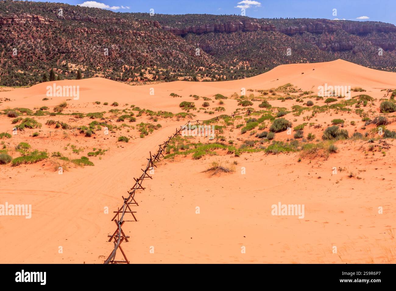 Coral Pink Sand Dunes State Park is a Utah state that features coral ...