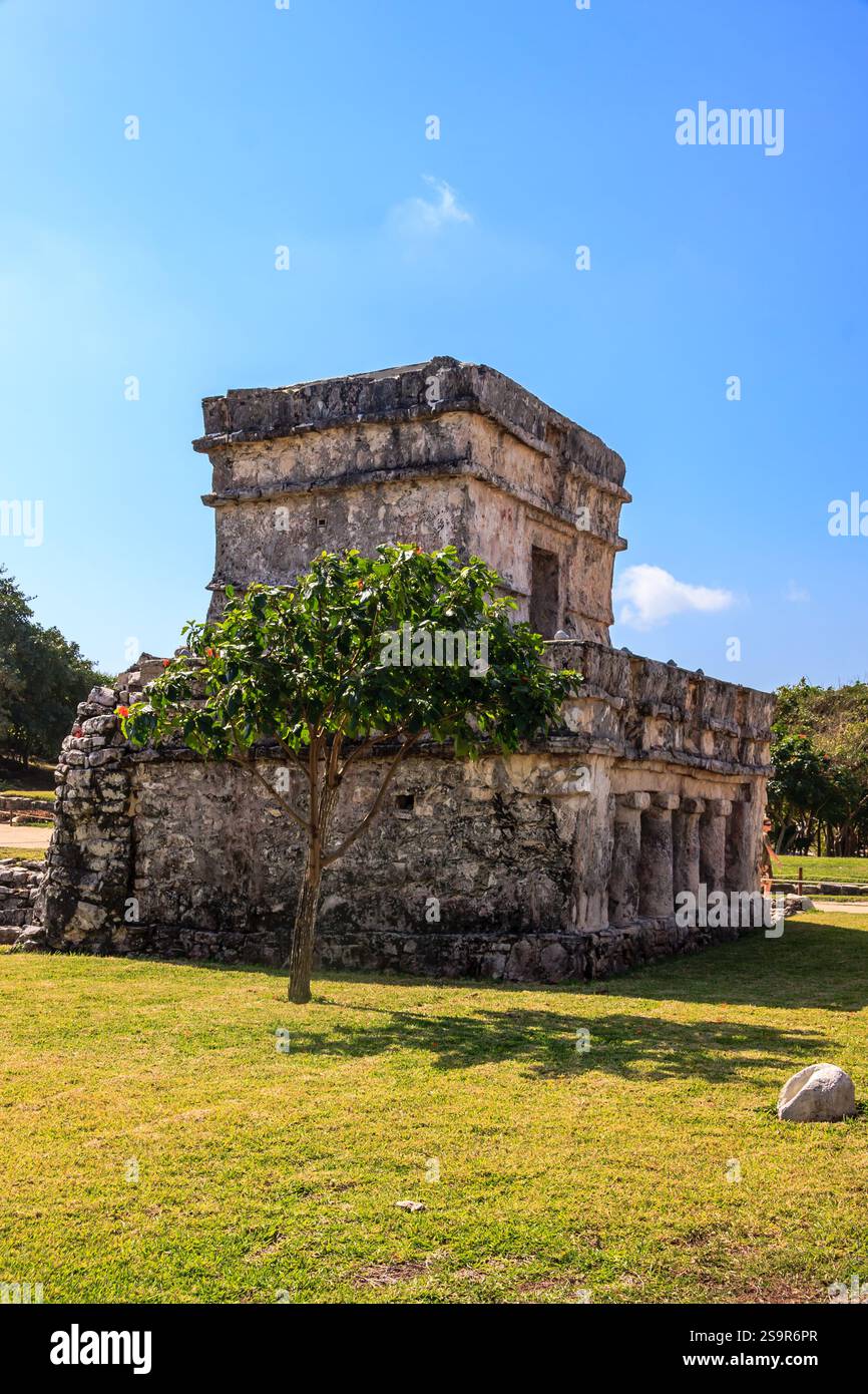 A large stone building with a tree in front of it. The building is old ...