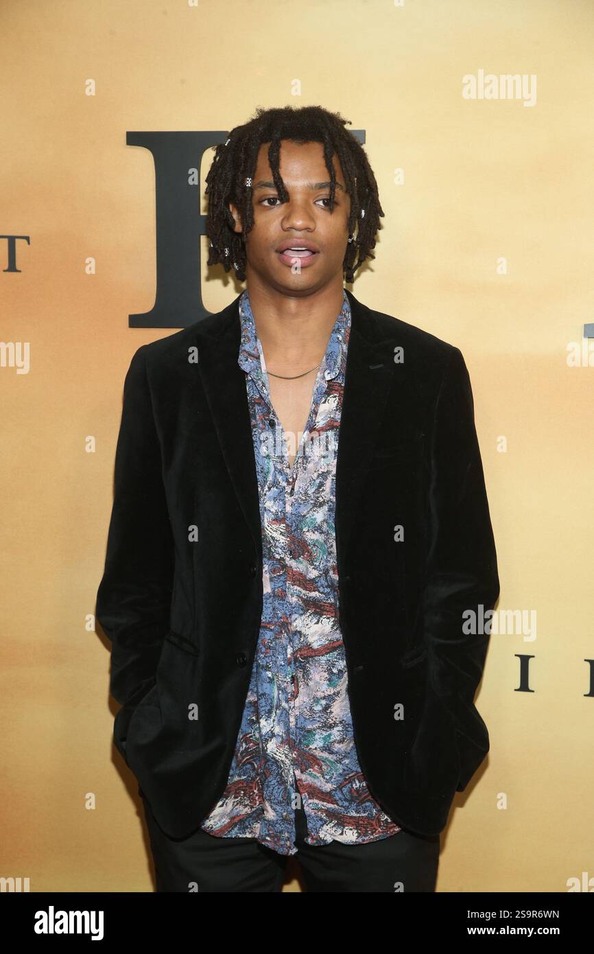 Henry Hunter Hall at the Focus Features LA Premiere of 'Harriet ...