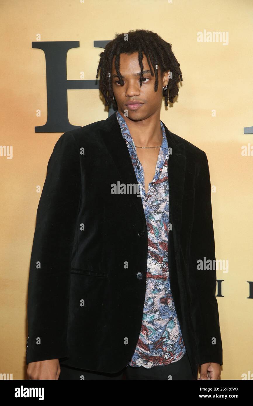 Henry Hunter Hall at the Focus Features LA Premiere of 'Harriet ...