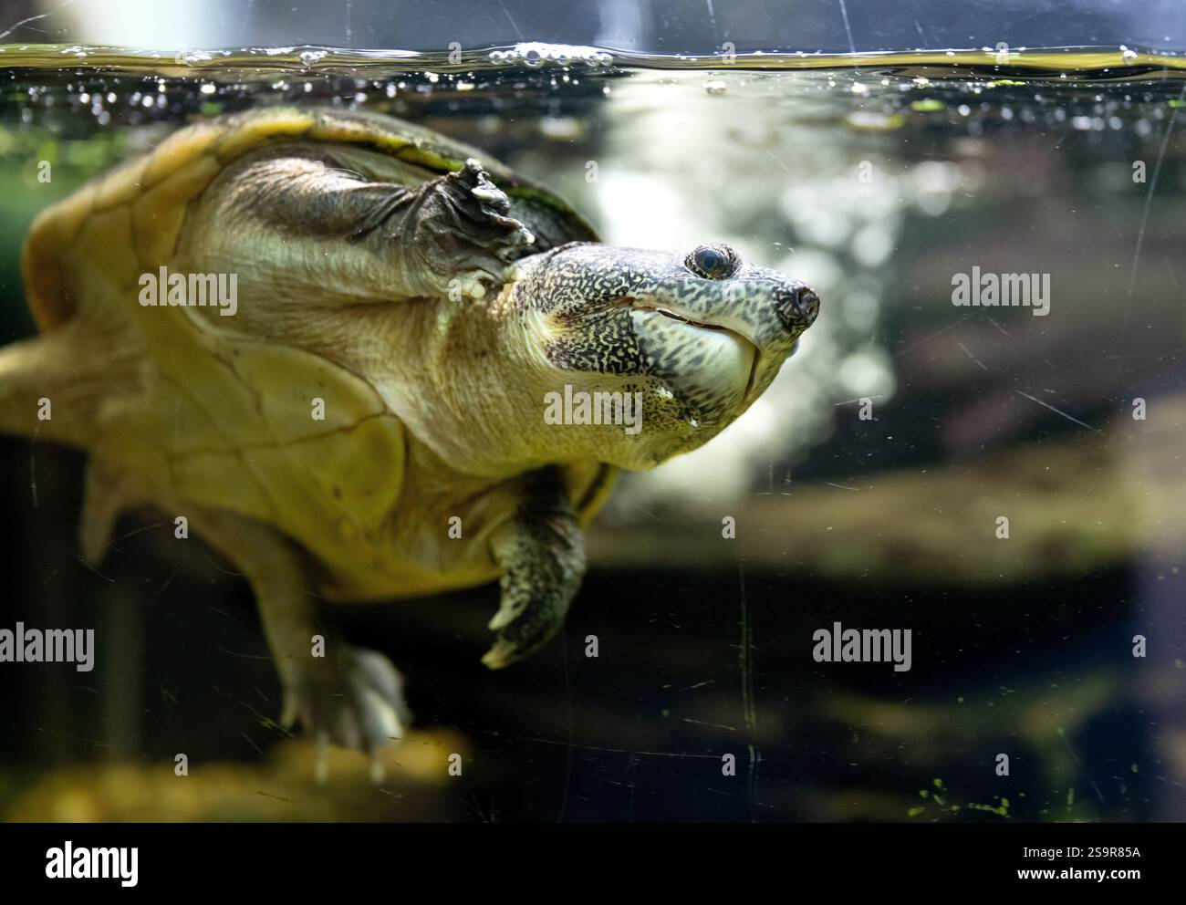 January 15 2025 new hi-res stock photography and images - Alamy