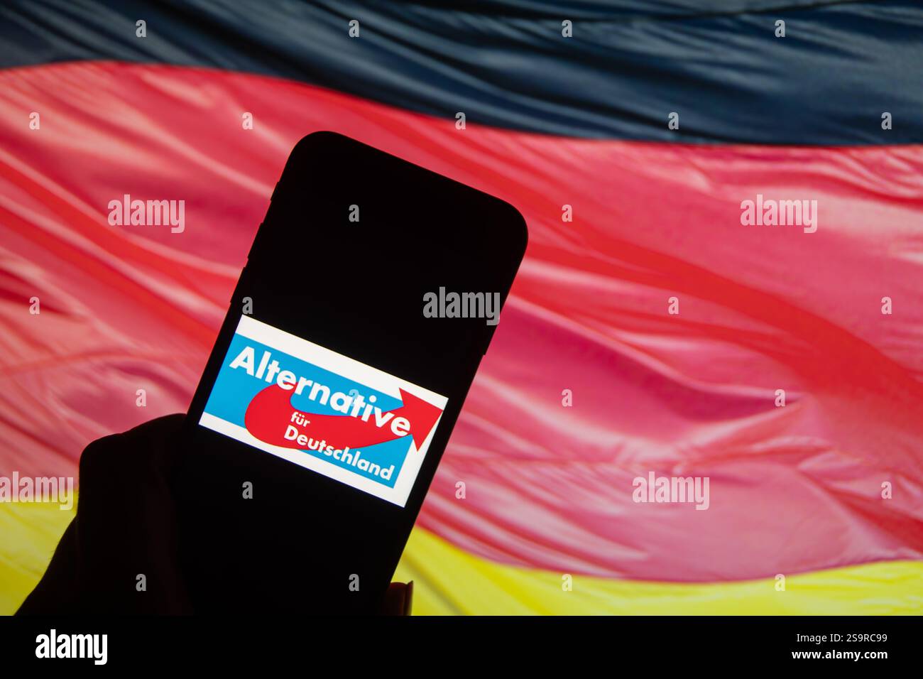 Rheinbach, Germany 26 January 2025, The logo of the party "Alternative ...