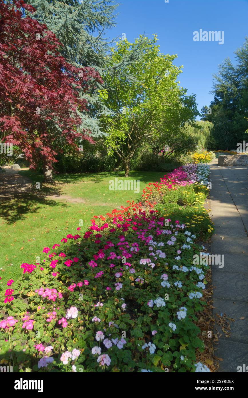 Beautiful planting at Elgin Bible Garden, near Cathedral, Elgin. Moray ...