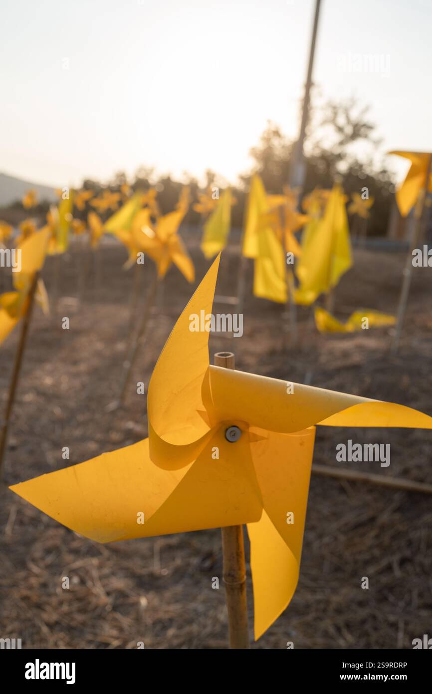 Yellow pinwheels are displayed prominently in a field, representing a ...