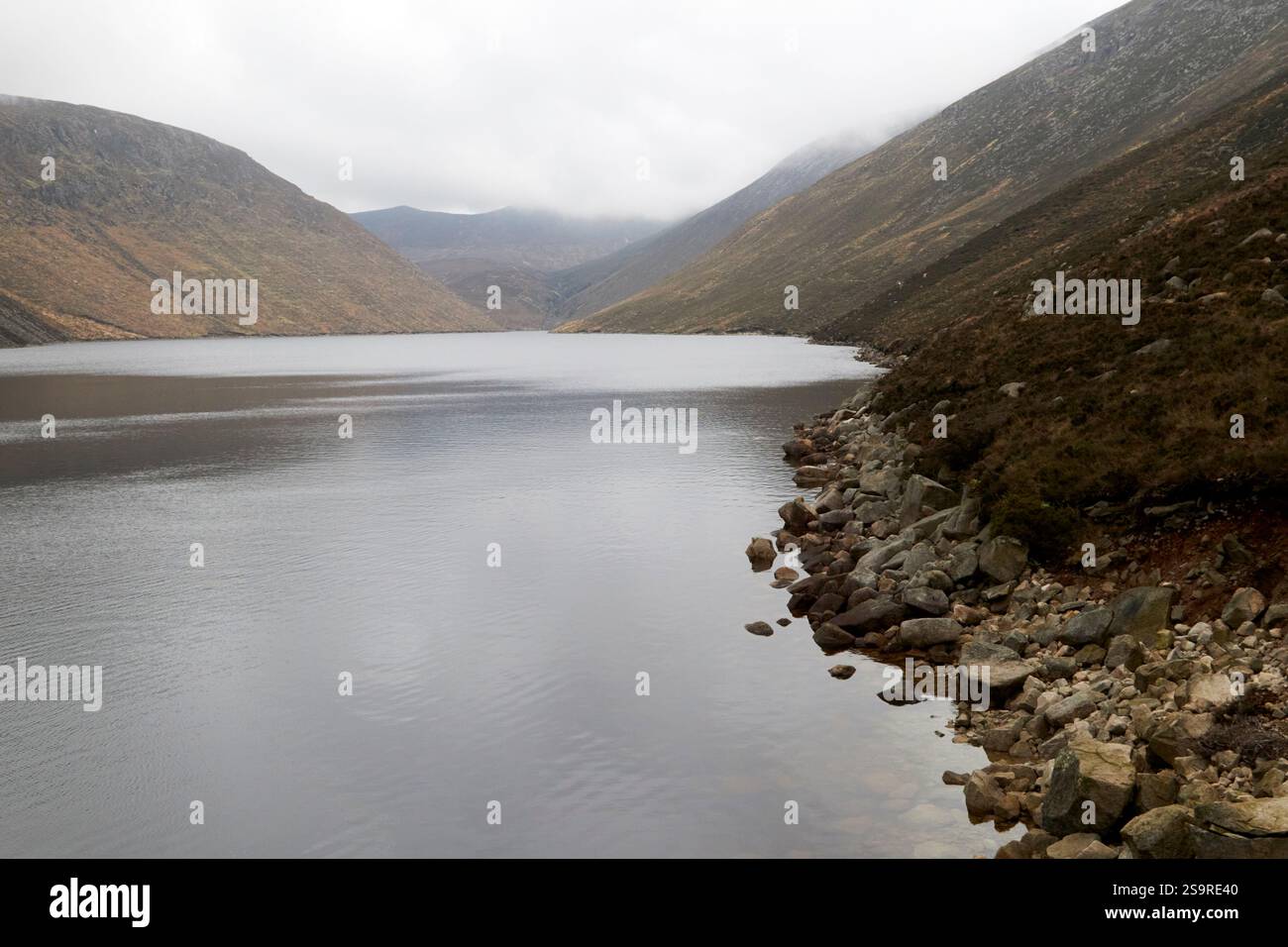 ben crom reservoir in the silent valley mourne mountains, county down ...