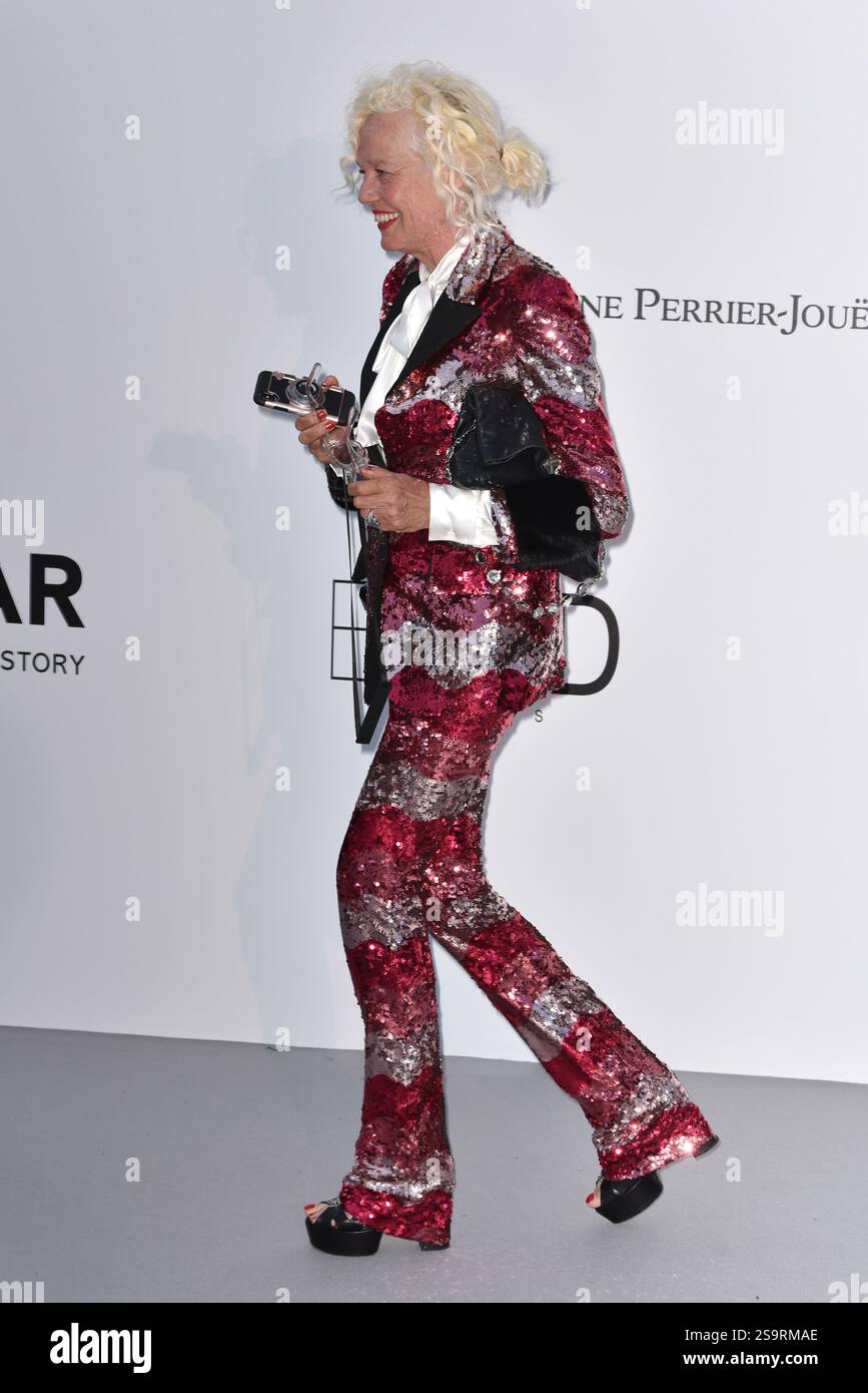 Ellen von Unwertharrivals at 25th annual amfAR Gala at Hotel du Cap ...