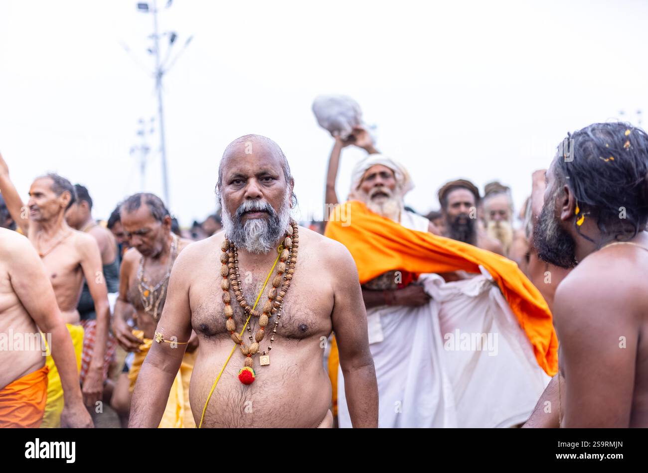 Mahakumbh, Group of holy sadhu and devotees marching towards the river ...