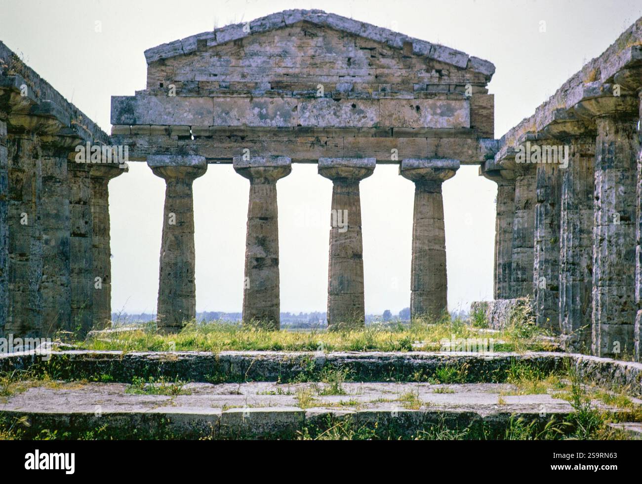 Temple of Hera II, also known as the Temple of Neptune, Paestum ...