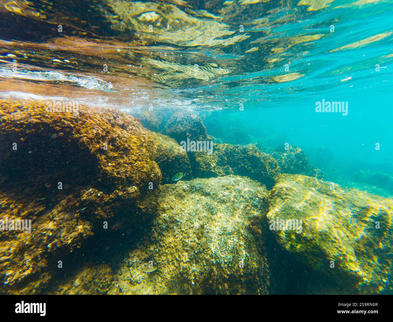 Crystal-clear waters of the French Riviera: underwater view of the ...