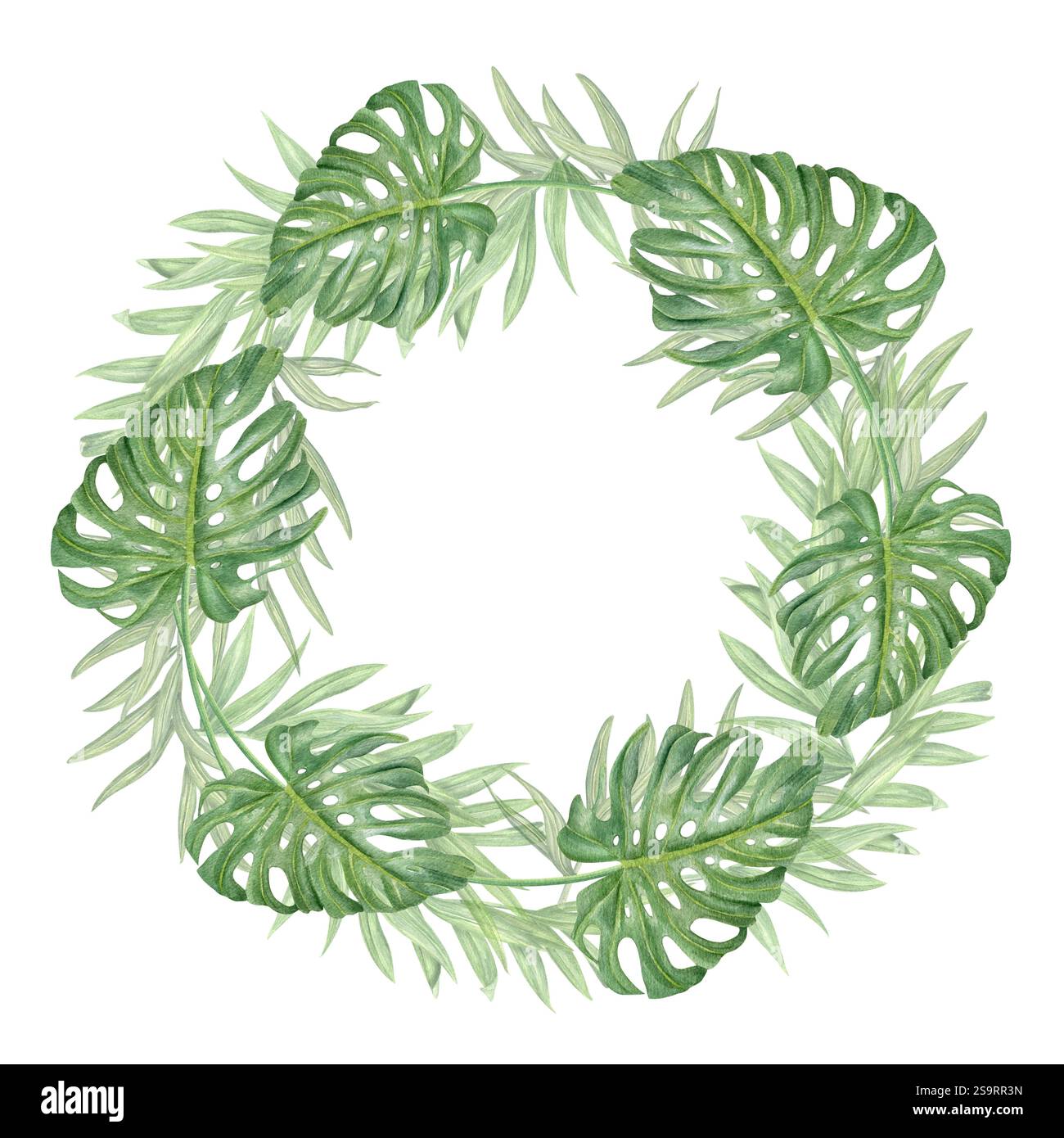 Graphic realistic frame tropical Cut Out Stock Images & Pictures - Alamy