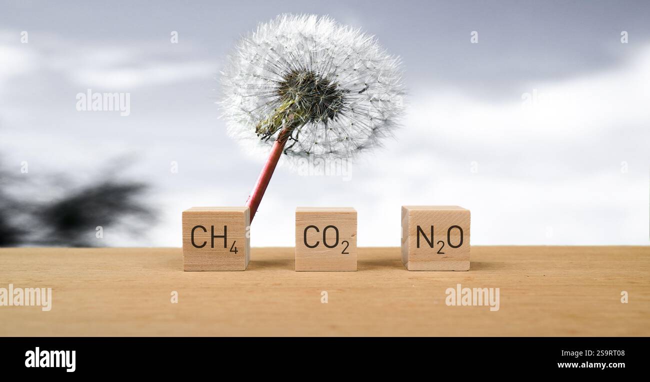 Air and environmental pollution co2, n2o, ch4 from industry, transport ...