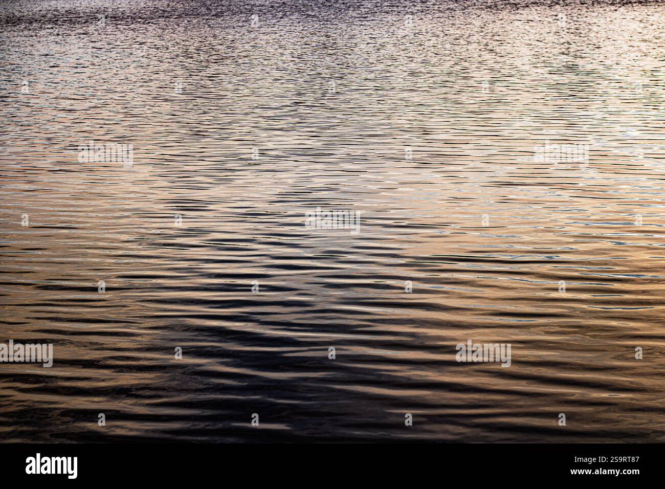 Sunset reflection on lake surface, water background Stock Photo - Alamy