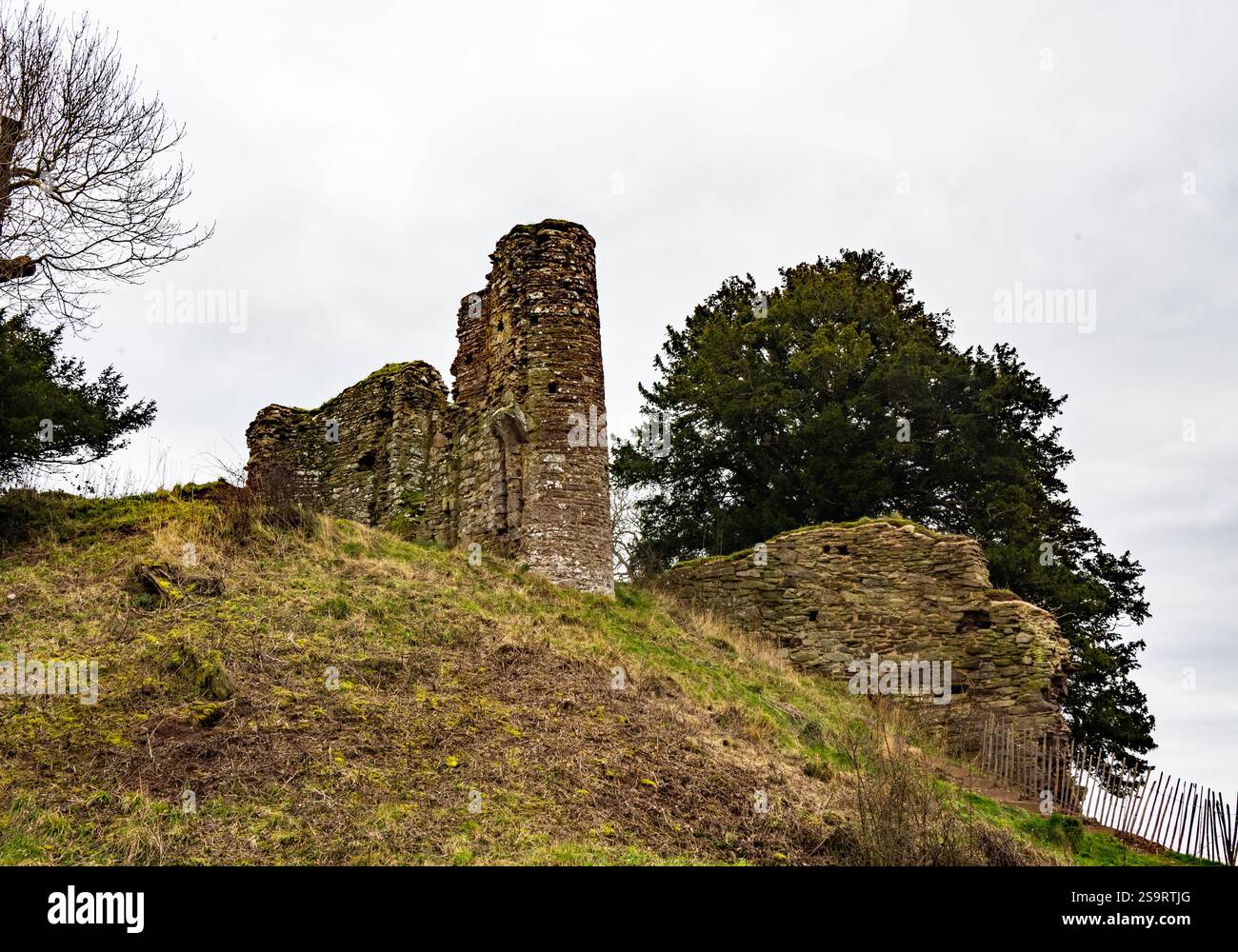 Chandos family hi-res stock photography and images - Alamy