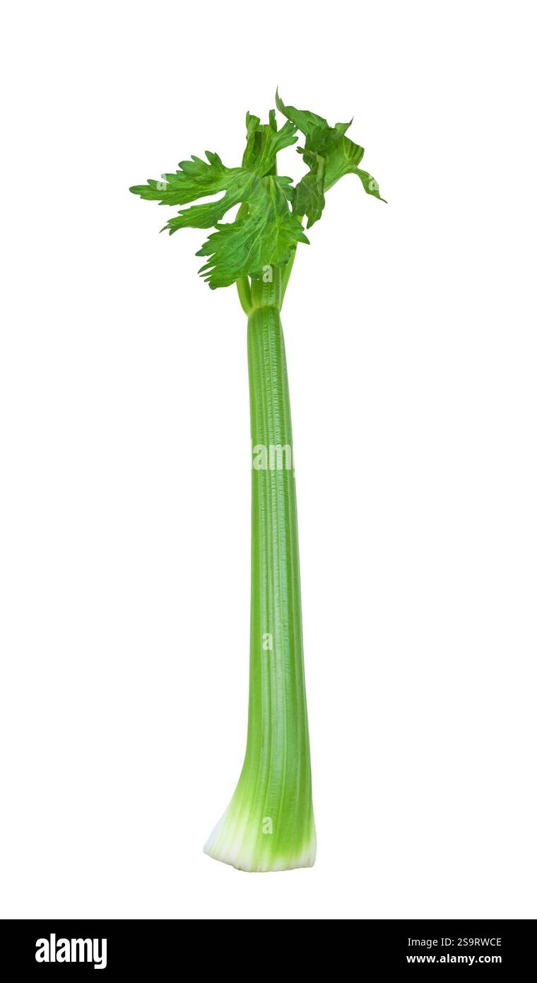 Raw plant based diet Cut Out Stock Images & Pictures - Alamy