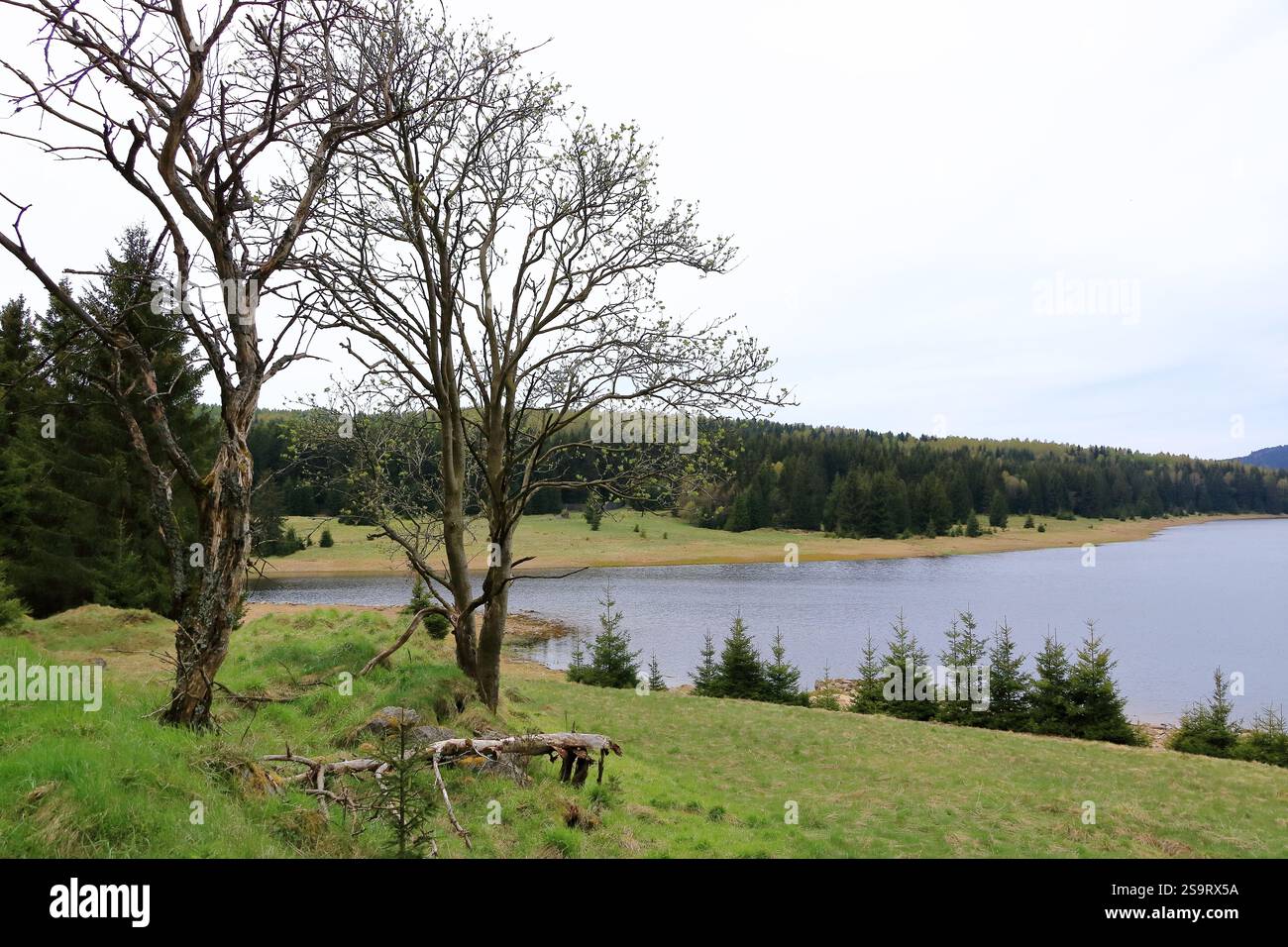 landscape and Reservoir in front of the Flaje dam in the Czech Republic ...