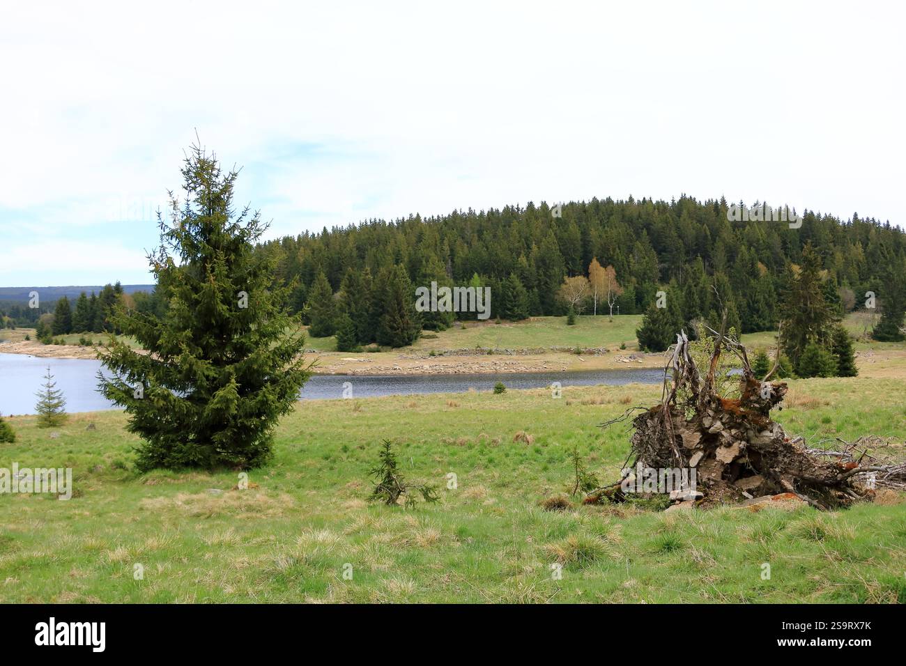 landscape and Reservoir in front of the Flaje dam in the Czech Republic ...